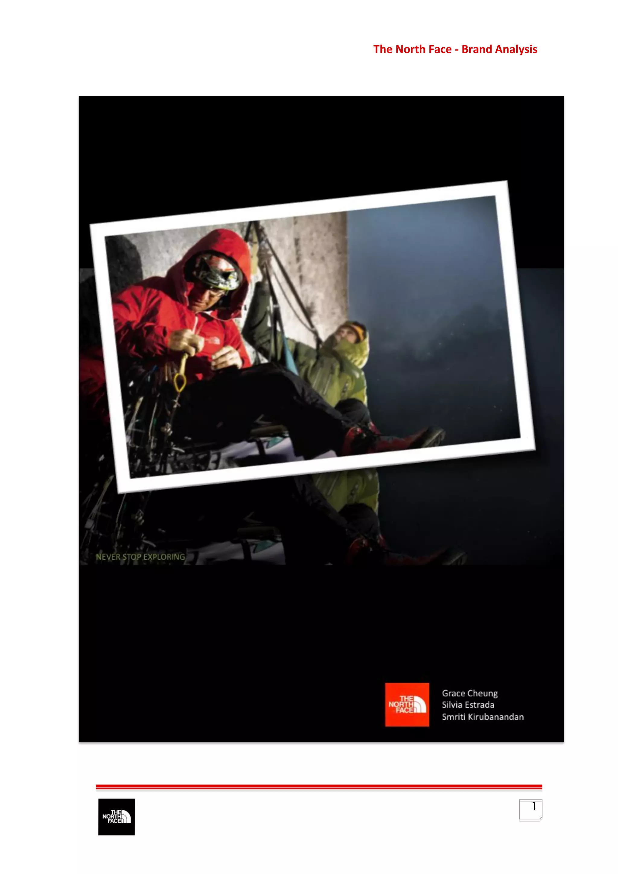 Brand Analysis: The North Face | PDF