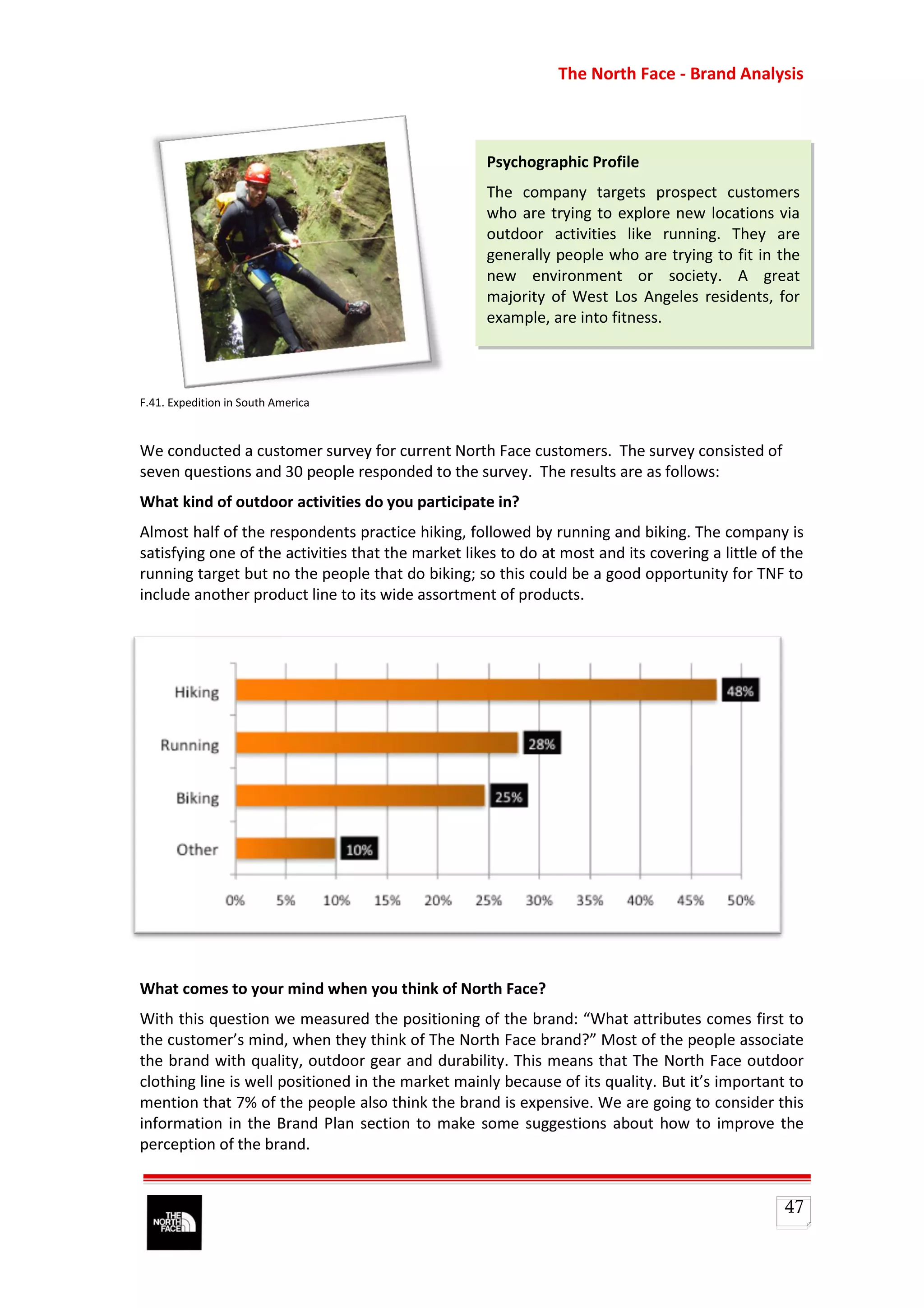 Brand Analysis: The North Face | PDF