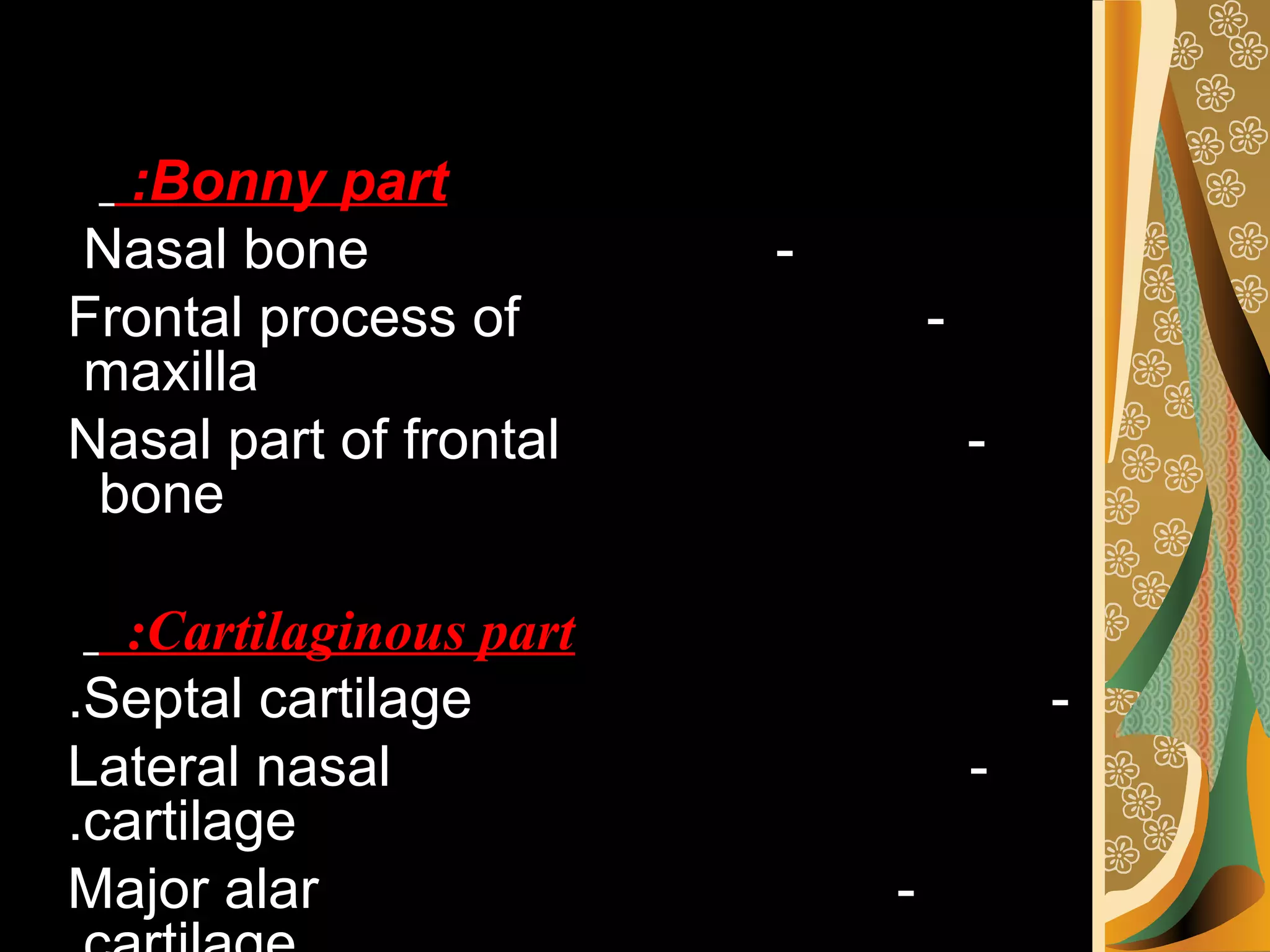 anatomy of The nose | PPT