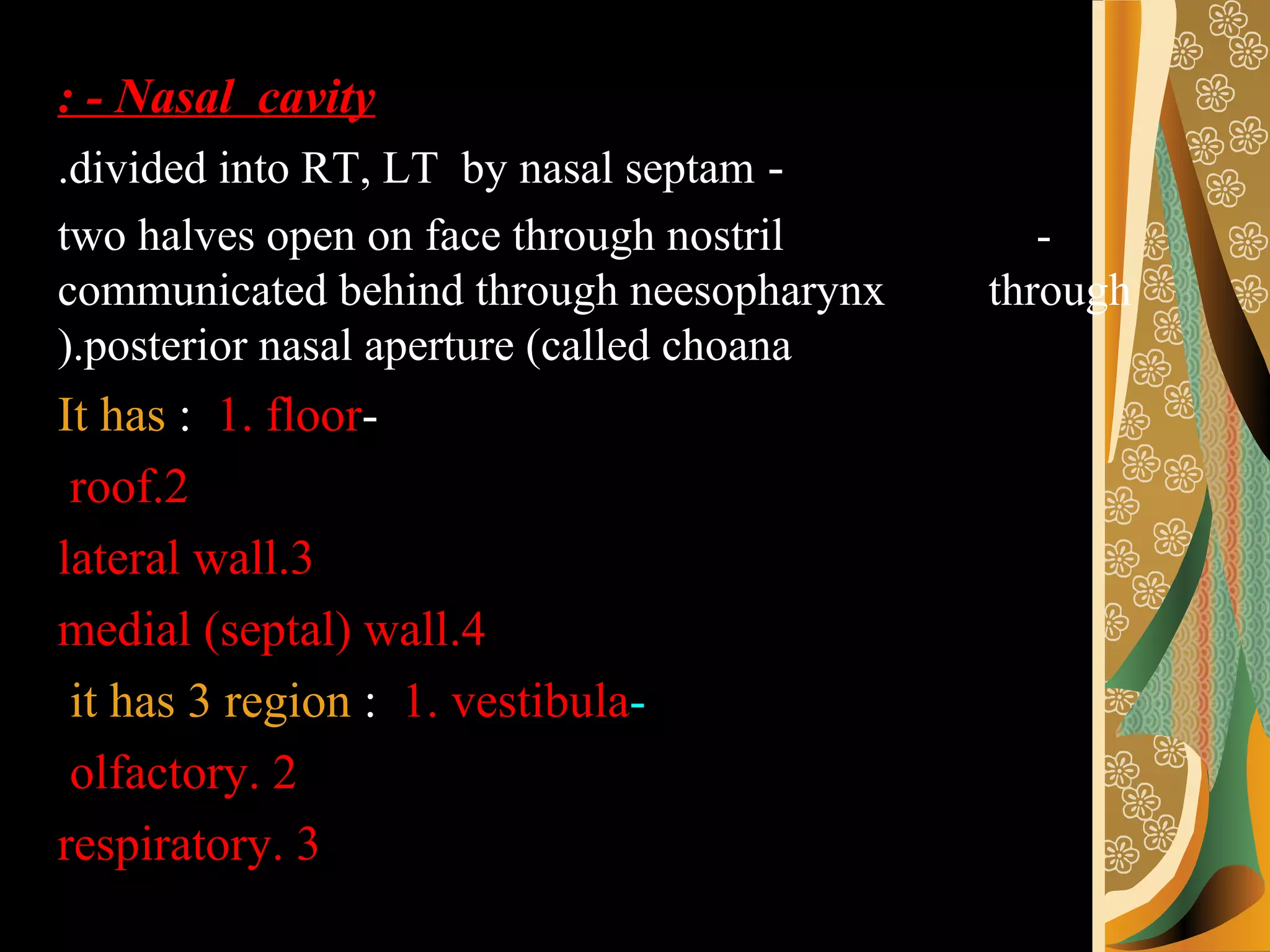 anatomy of The nose | PPT
