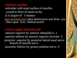 anatomy of The nose | PPT