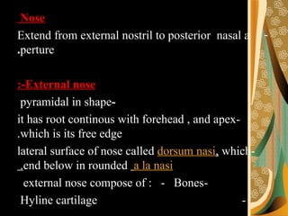 anatomy of The nose | PPT
