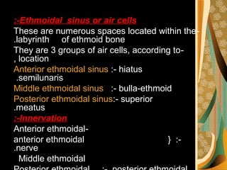 anatomy of The nose | PPT