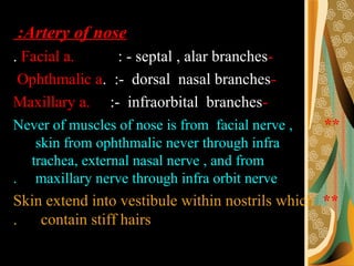 anatomy of The nose | PPT
