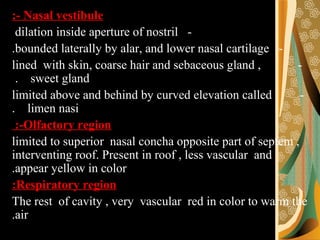 anatomy of The nose | PPT