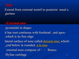 Anatomy of The nose | PPT