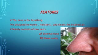 The nose | PPTX