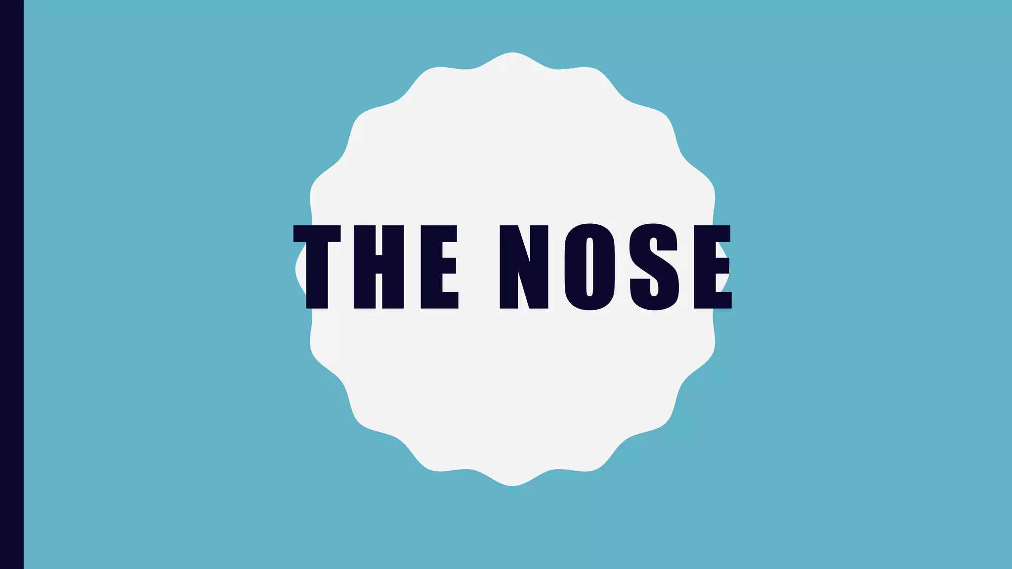 The nose | PPTX