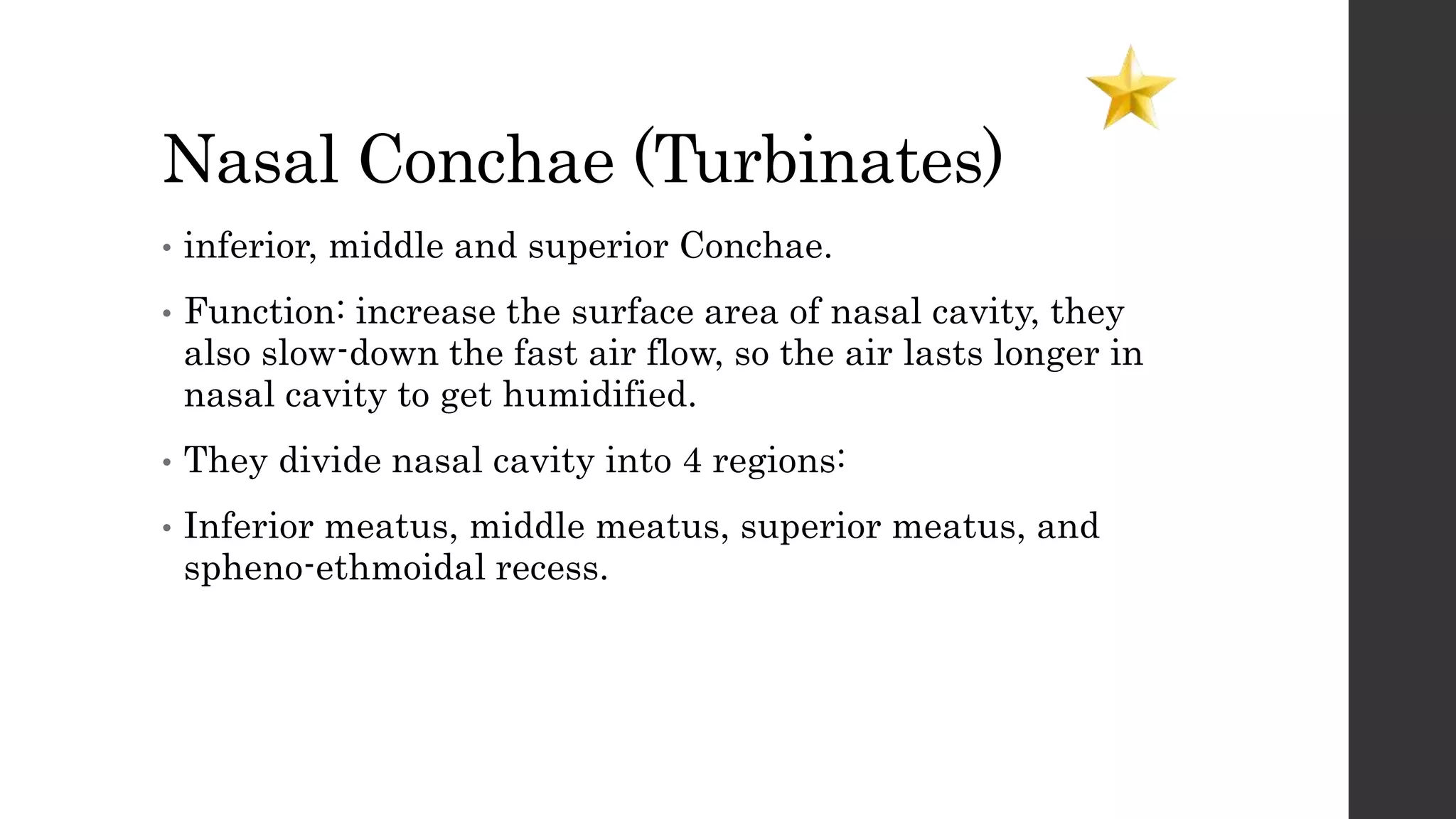 The Nose and nasal cavity, anatomy, and clinical diseases of nasal ...