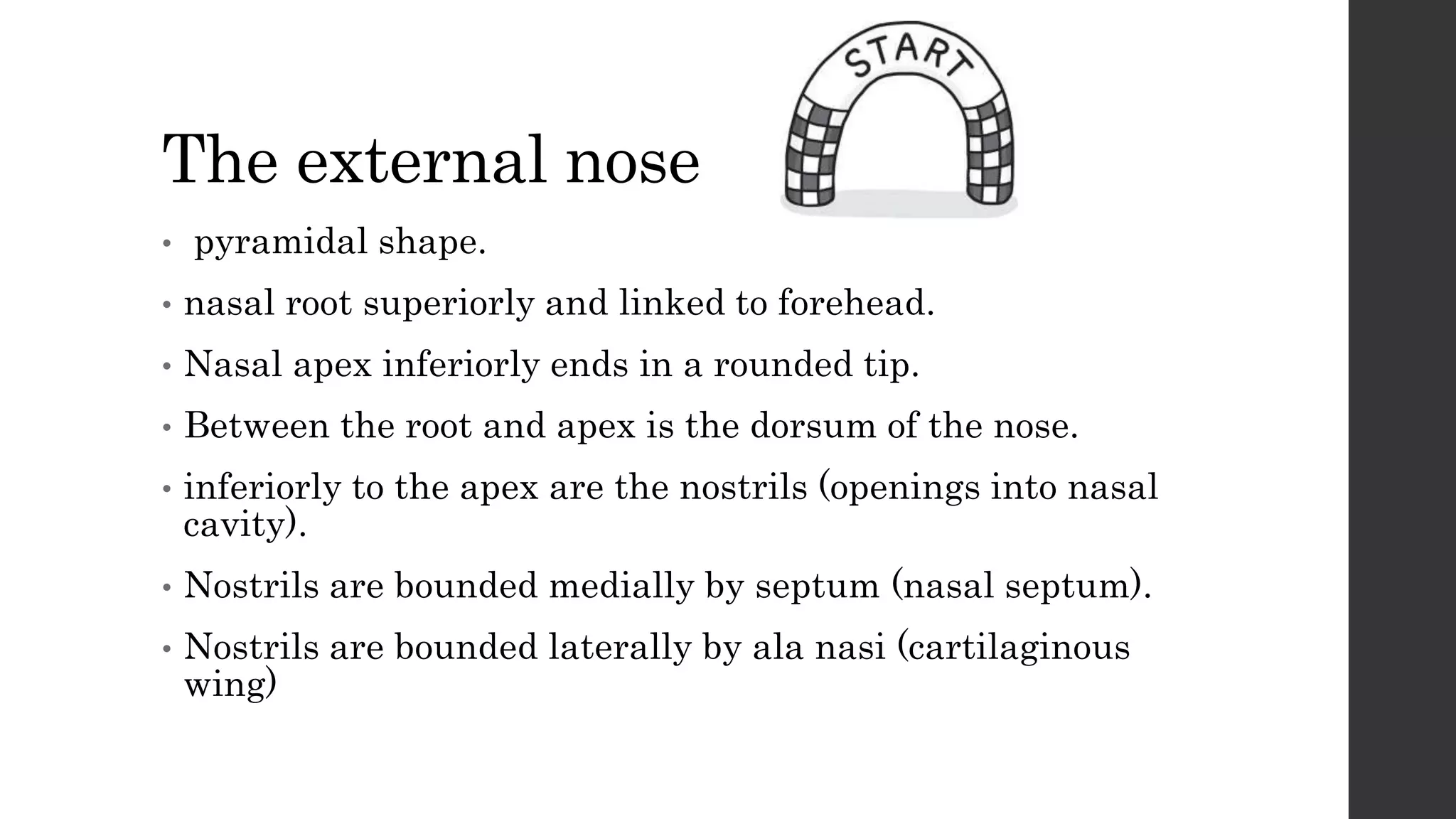 The Nose and nasal cavity, anatomy, and clinical diseases of nasal ...