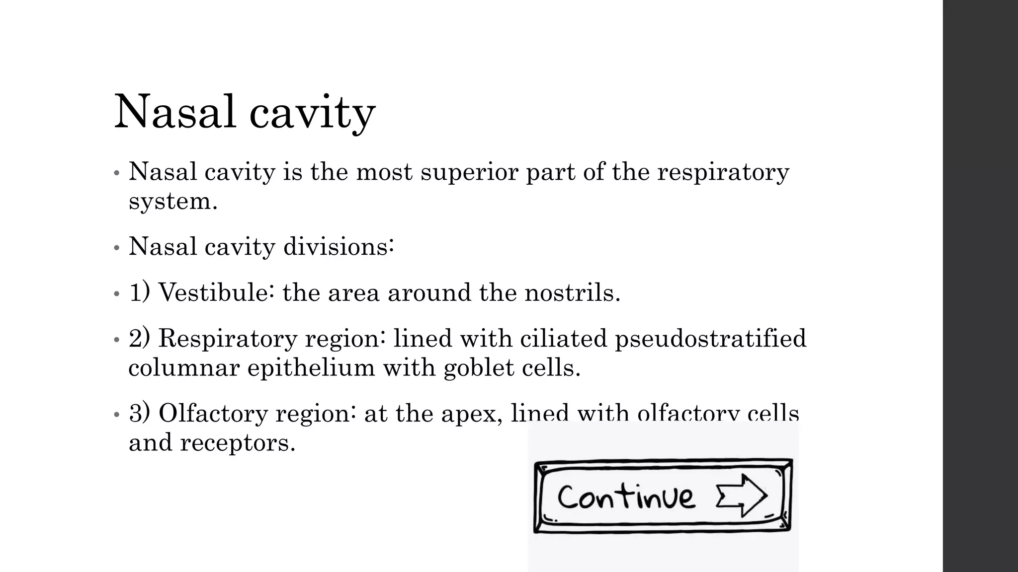 The Nose and nasal cavity, anatomy, and clinical diseases of nasal ...