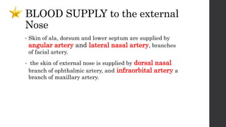 The Nose and nasal cavity, anatomy, and clinical diseases of nasal ...