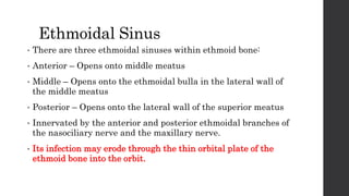The Nose and nasal cavity, anatomy, and clinical diseases of nasal ...