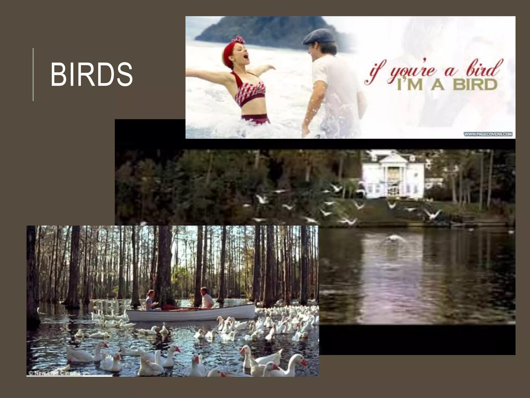 The Notebook motifs, symbols, and tropes | PPTX