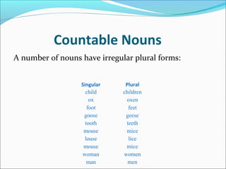 THE NOUN | PPT