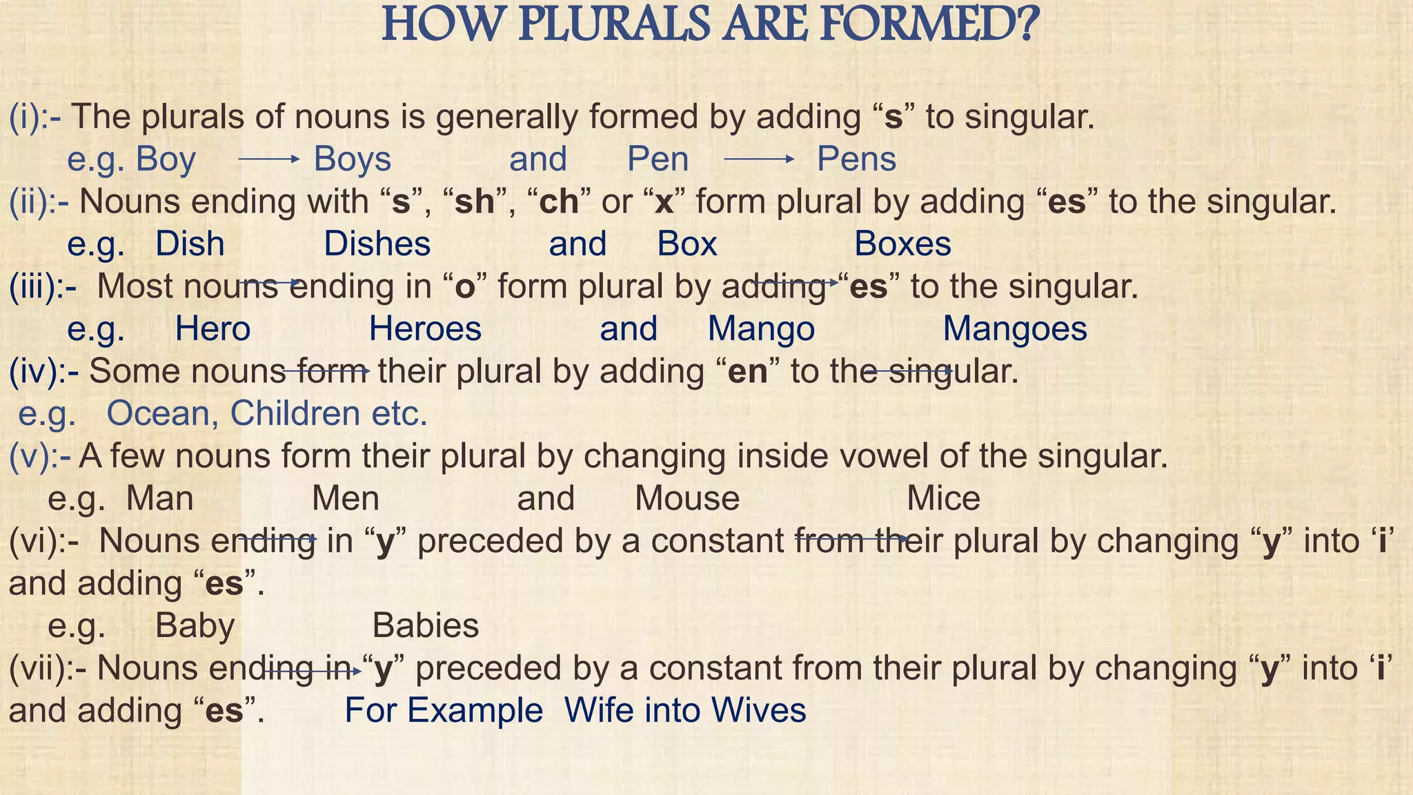 The noun and kinds | PPTX