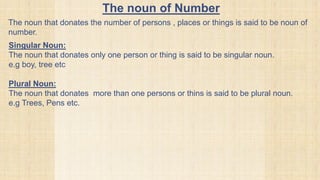 The noun and kinds | PPTX