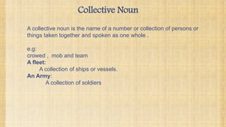 The noun and kinds | PPTX