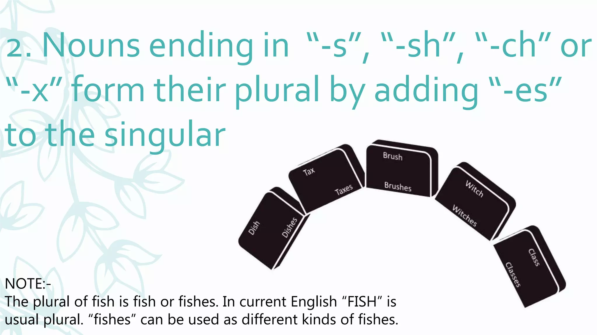 The noun number | PPTX