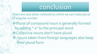 The noun number | PPTX