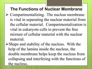 Nuclear Membrane Function