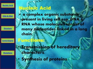 The nucleic acids | PPTX | Chemistry | Science