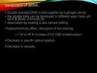 The nucleic acids | PPT