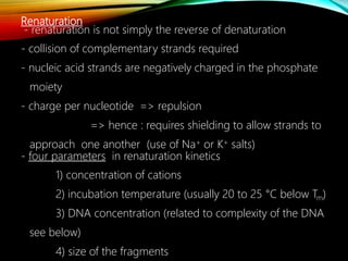 The nucleic acids | PPT