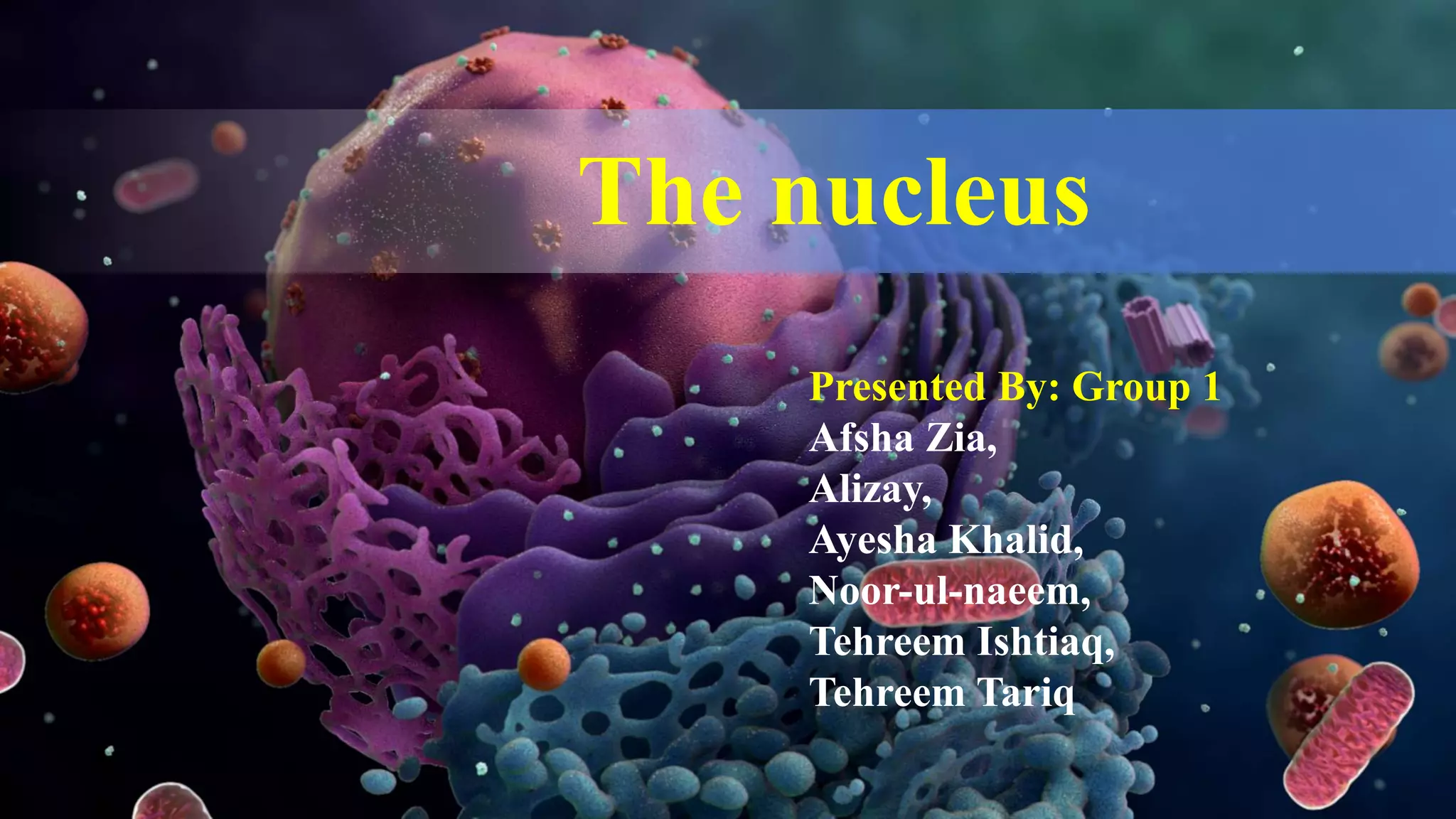 The Nucleus | PPTX