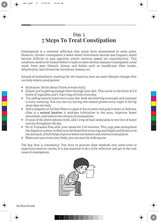 Nutribrush Journal Preview: A Wellness and Weight Loss Journal | PDF