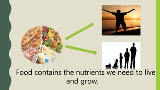 The nutrients in food | PPTX