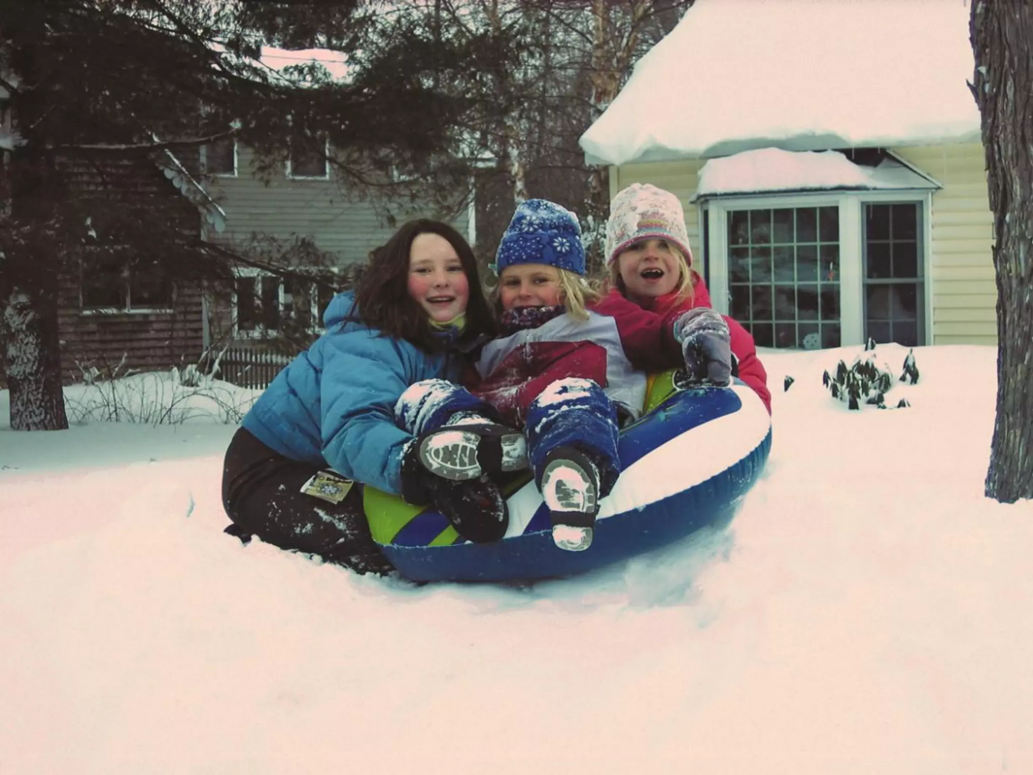 Hawaii Pacific GIS Conference 2012: Forestry and Tree Mapping - The ...