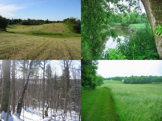 Hawaii Pacific GIS Conference 2012: Forestry and Tree Mapping - The ...