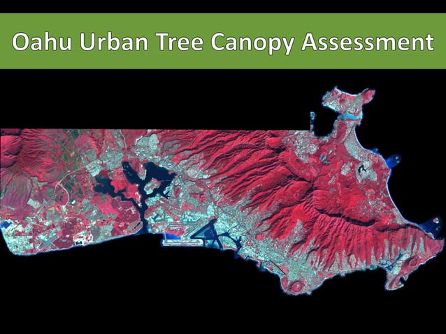 Hawaii Pacific GIS Conference 2012: Forestry and Tree Mapping - The ...