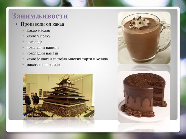 Kakaovac (Theobroma cacao) | PPT