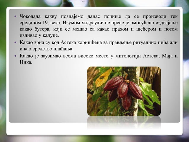 Kakaovac (Theobroma cacao) | PPT