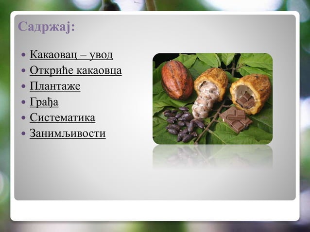 Kakaovac (Theobroma cacao) | PPT