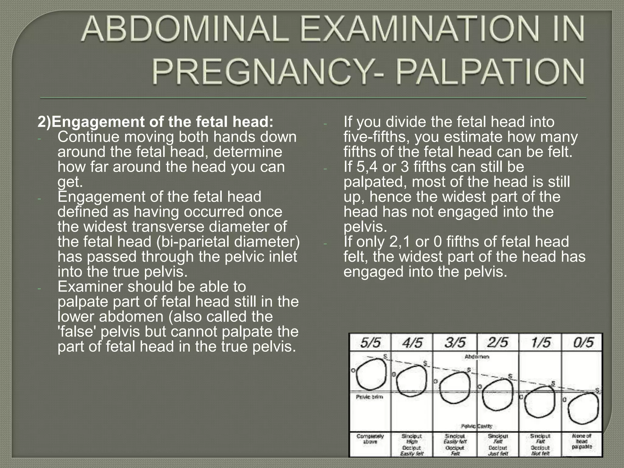 The obstetric examination ppt | PPTX