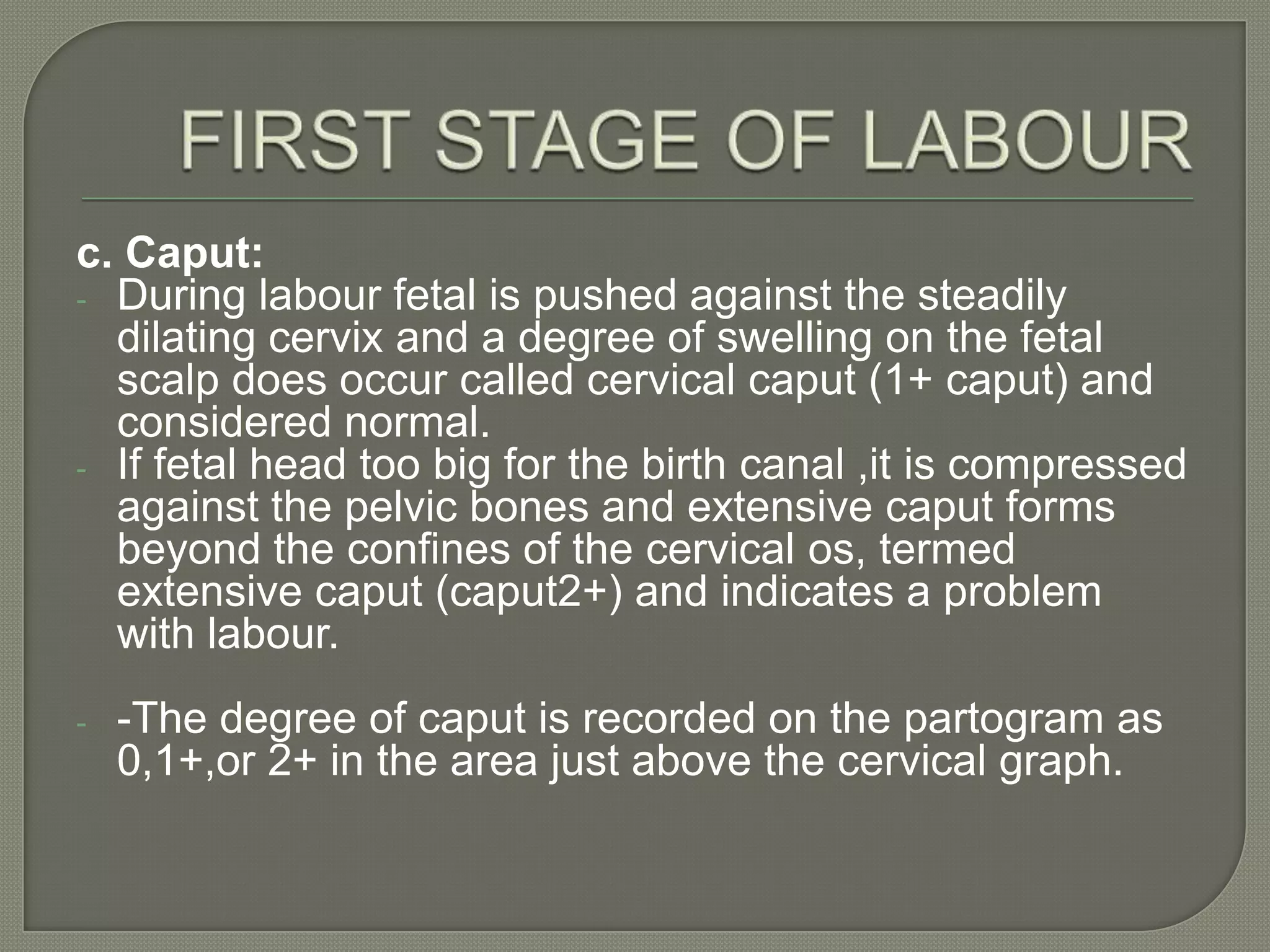 The obstetric examination ppt | PPTX