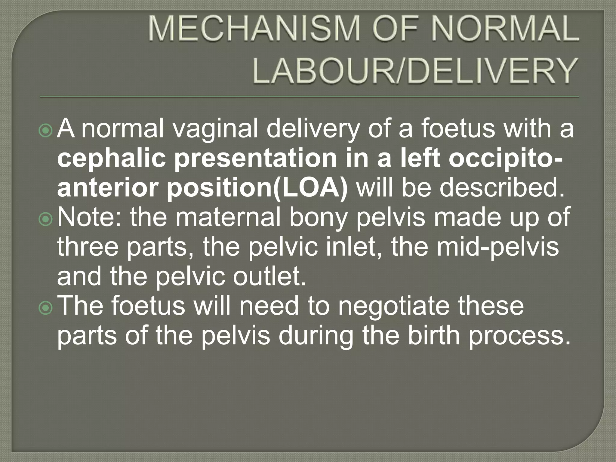 The obstetric examination ppt | PPTX