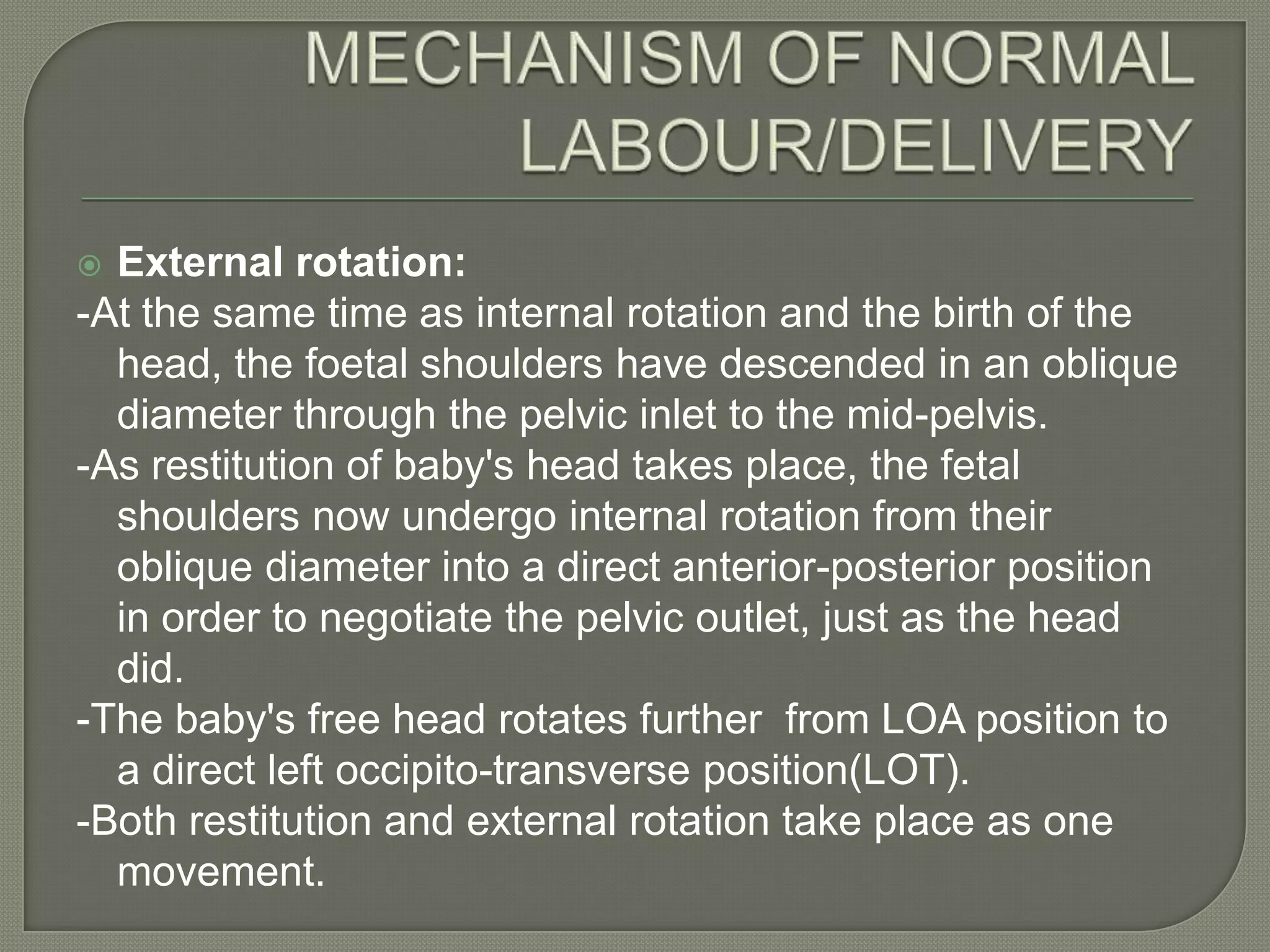 The obstetric examination ppt | PPTX