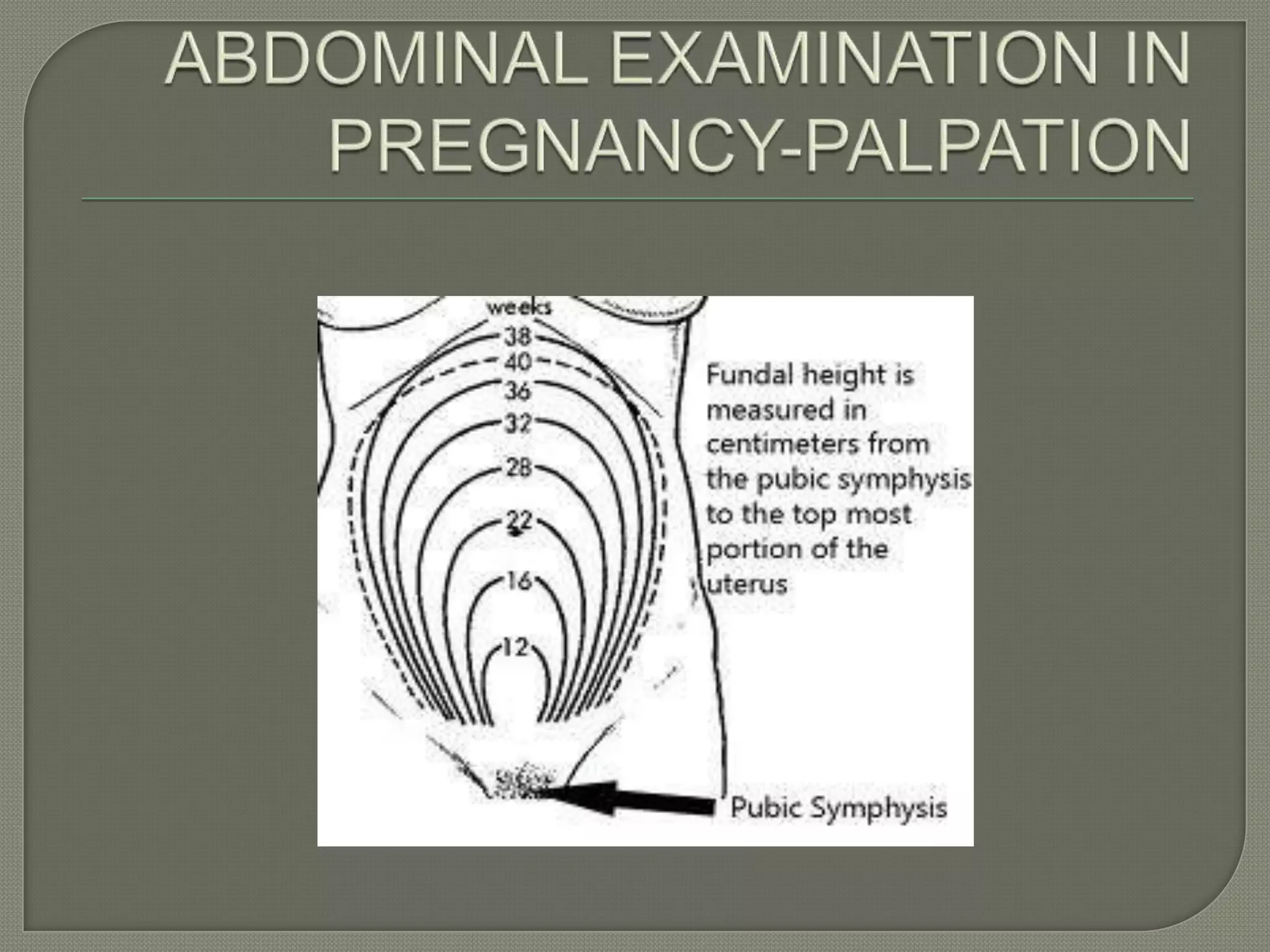 The obstetric examination ppt | PPTX