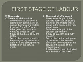 The obstetric examination ppt | PPTX