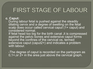 The obstetric examination ppt | PPTX