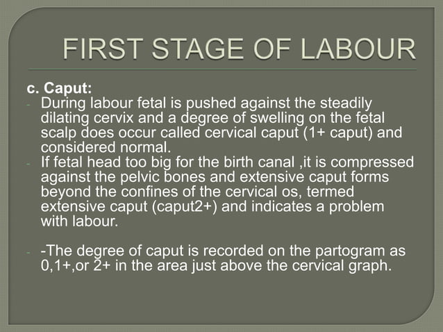 The obstetric examination ppt | PPTX