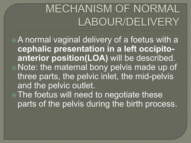 The obstetric examination ppt | PPTX