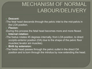The obstetric examination ppt | PPTX