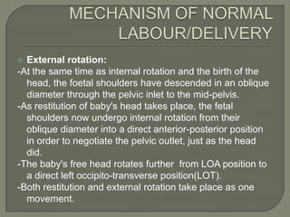 The obstetric examination ppt | PPTX