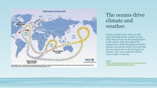 The oceans | PPTX