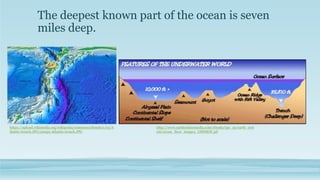 The oceans | PPT